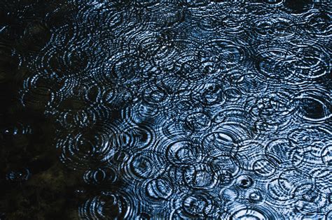Water Rain Ripples Free Photo On Pixabay
