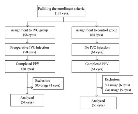 Chart Showing Participants Flow Ivc Intravitreal Conbercept Ppv Download Scientific Diagram