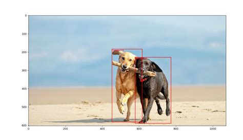 Pytorch Vision Pytorch Csdn