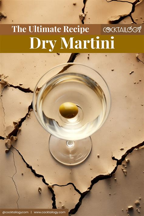 Dry Martini Easy 2 Ingredient Classic Cocktail