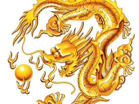 Gold Dragon Wallpapers Top Free Gold Dragon Backgrounds Wallpaperaccess