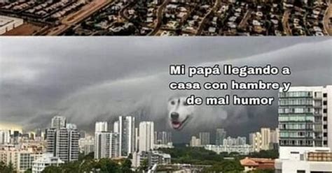 Cuánto Cabrón Me La Voy A Llevar Yo
