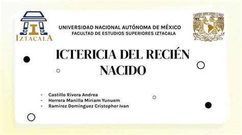 Ictericia Del Recién Nacido Fernanda Morán Udocz