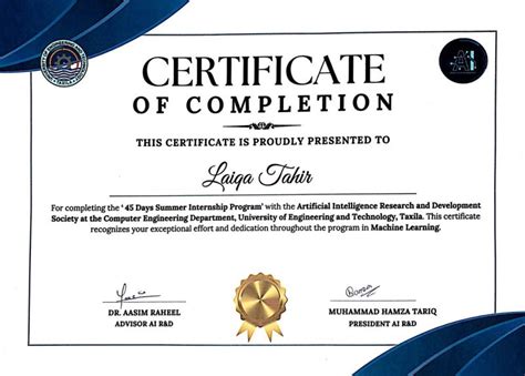 Artificialintelligence Machinelearning Internshipexperience Laiqa