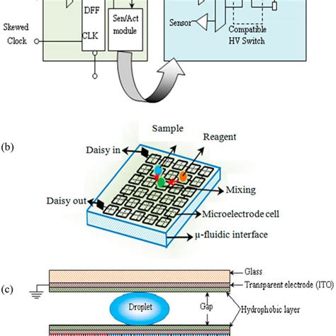Biochip Design Automation Flow Download Scientific Diagram