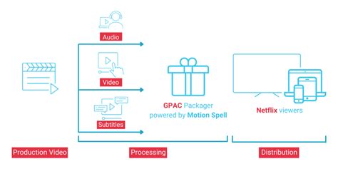 build your streaming infrastructure netint technologies