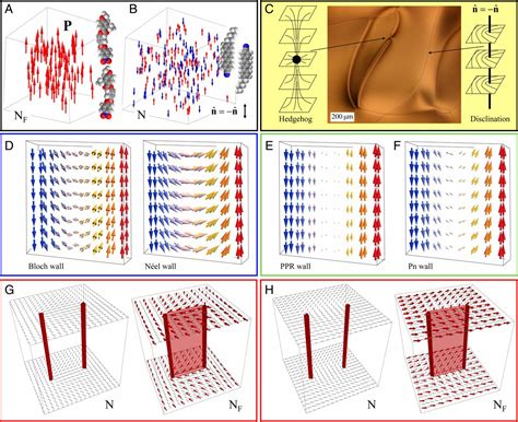 Ferroelectric Nematic Liquid Crystal A Century In Waiting Pnas