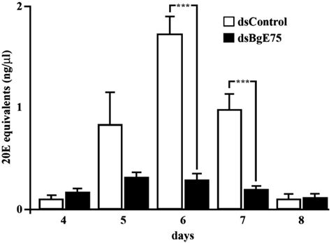 Effect Of Rnai Of Bge75 On Ecdysteroid Levels In B Germanica