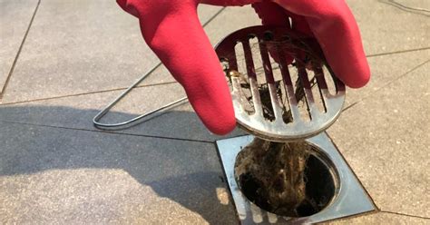 Diy Solutions For A Smelly Bathroom Drain Plumbing Sniper