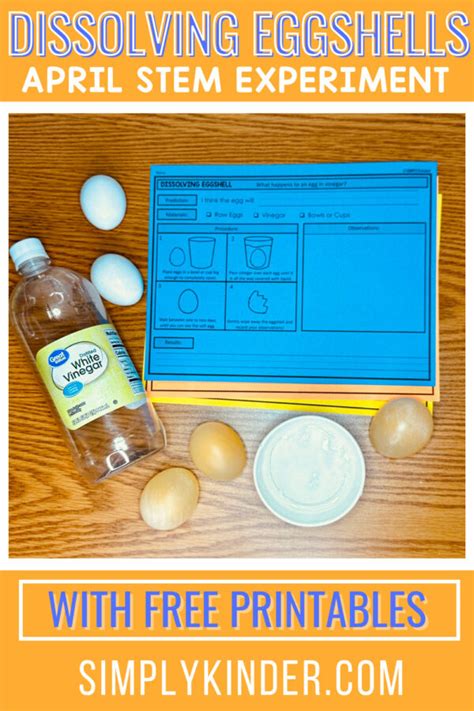 spring stem activity for kindergarten and free printable simply kinder