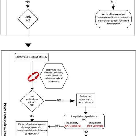 Proposed Management Algorithm For Peripartum Intra‐abdominal