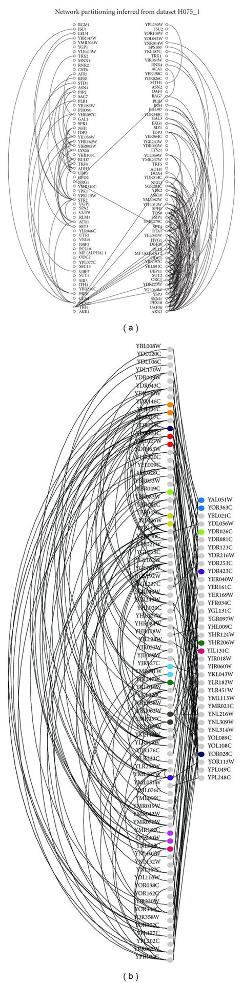 Network Evolution After The Yeast Wgd A The Yeast Coexpression