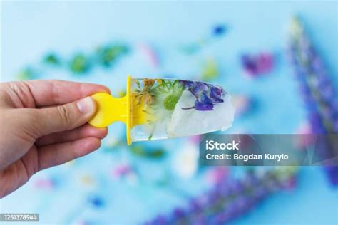 얼음 조각의 배경에 여름 야생화와 꽃 아이스 팝을 들고 손 푸른 종이에 신선한 여름 꽃 안녕하세요 여름 컨셉 결정체에 대한 스톡