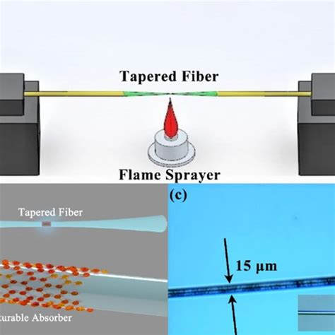 A Experimental Device Of Preparing The Tapered Fiber B Simulation Download Scientific
