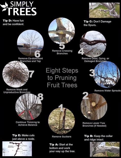 Lesson 6 Structural Pruning