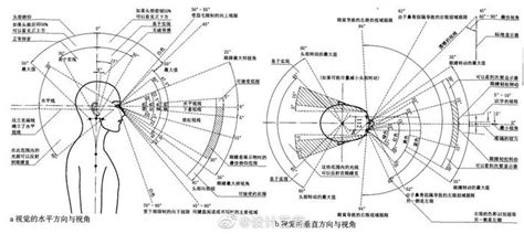 人体坐姿工程学数据