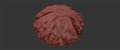 Peach Pit 003 3d Model Cgtrader