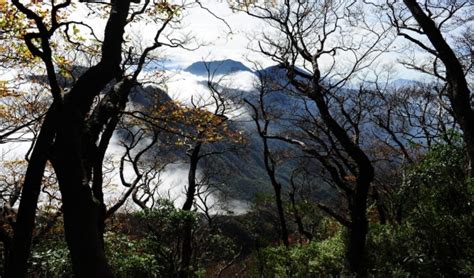 北插天山登山步道 健行筆記