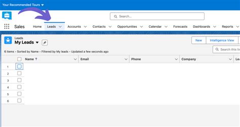 Salesforce Lead Conversion Mapping A Comprehensive Guide
