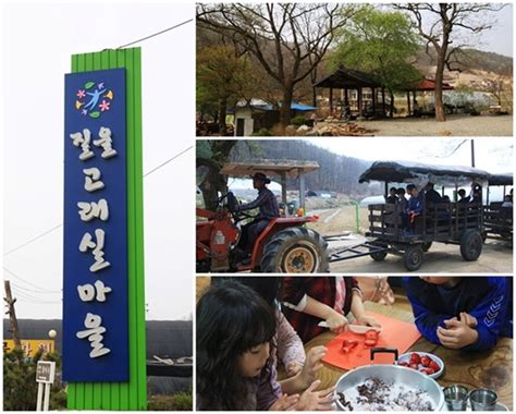 아빠 ‘여행주간에 싱싱이 타러가요