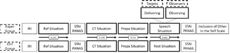 flowchart of the experimental protocol download scientific diagram