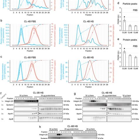 Workflow Of Developing A Simplified SEC Method For EV Isolation The Download Scientific