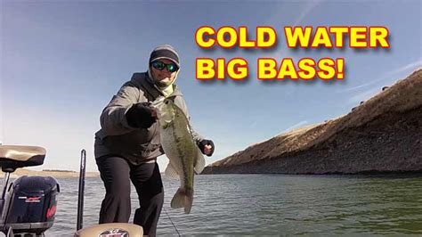 Bass Fishing Videos The Ultimate Bass Fishing Resource Guide LLC