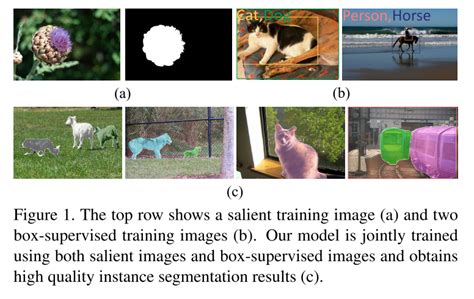 Wsis Weakly Supervised Instance Segmentation Via Class Agnostic Learning With Salient Images