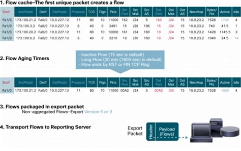 Networkingsecurityvirtualization Fundamentals Netflow