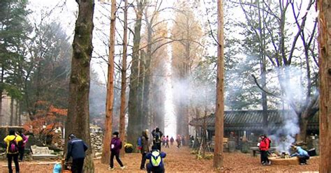 마지막 가을 풍경낙엽을 밟아요