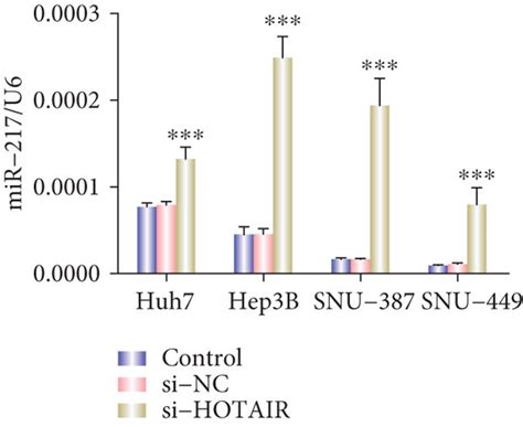 HOTAIR Bound To MiR 217 And Regulated MiR 217 Expression A Sequence