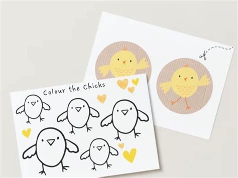 Colour The Chicks Easter Teaching Resources