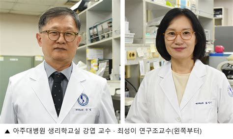 고지방·고과당 식단이 ‘비알코올성 지방간염 일으키는 과정 밝혀져