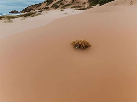 How Sand Has Fared Since The Commencement Of Its Token Unlock Ambcrypto