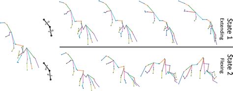 Dynamical Trajectories For Each State In Bat Flight Data We Predicted Download Scientific