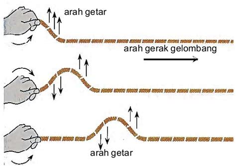 Jenis Jenis Gelombang Mekanik Biology Page