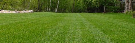Grassmaster Professional Groundskeeping Grassmaster Groundskeeping