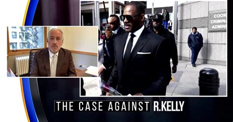 R Kelly State Defense Attorney Steve Greenbergs Perspective On The