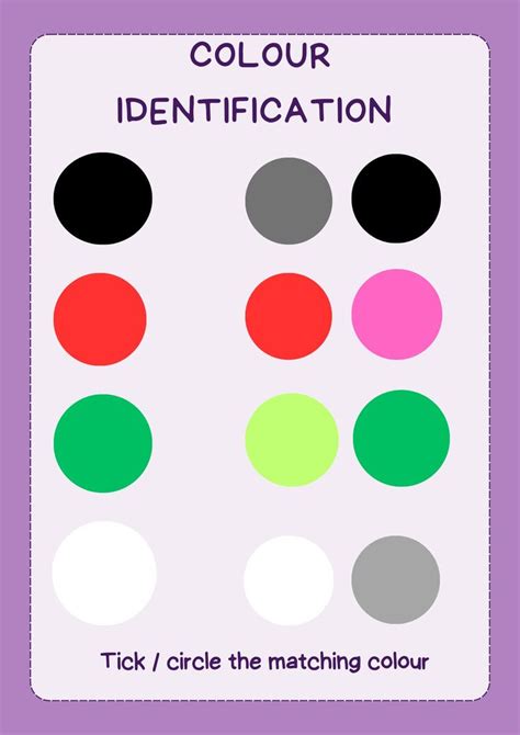 Colour Identification Worksheet Preschool Special Education Early