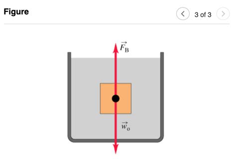 Solved If You Hold An Object Underwater And Then Release Chegg Com