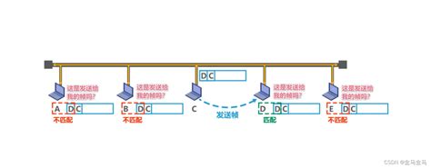 Mac Ip Arp