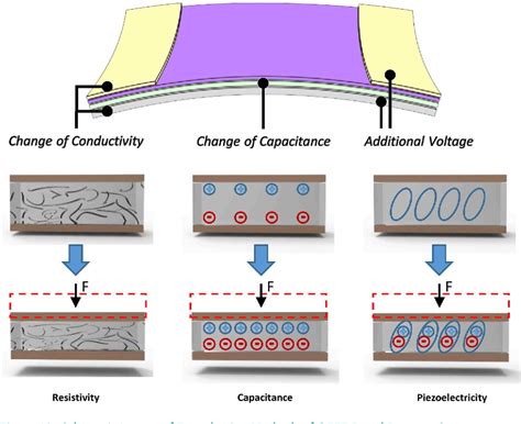 Figure 1 From Flexible Field Effect Transistor Type Sensors Based On
