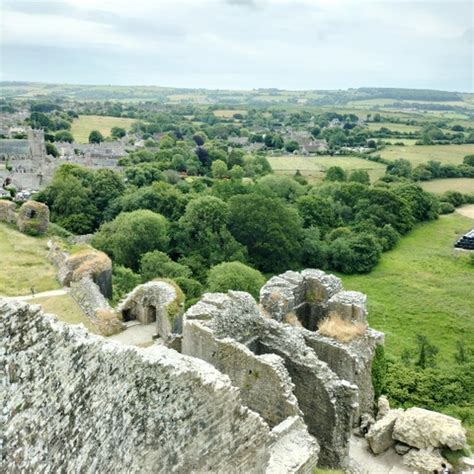 Alice Wang💞 Youtube