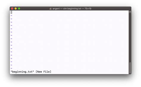 Beginners Guide To Vim The Basics