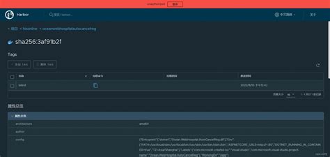 Harbor未授权访问漏洞（cve 2022 46463） Csdn博客