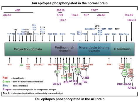 Mapping Protein Ptm Data