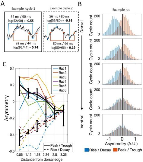 Medial Entorhinal Cortex Activates In A Traveling Wave In The Rat ELife