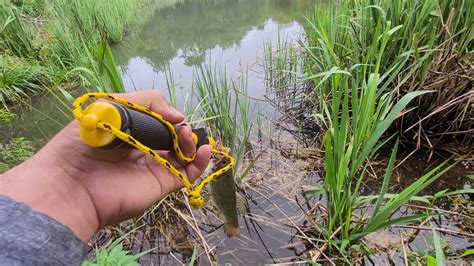 NINGUÉM ACREDITAVA NO TAMANHO DOS PEIXES QUE TINHA NESSA REPRESA