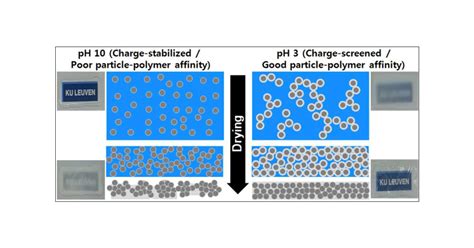 Structural Development Of Nanoparticle Dispersion During Drying In Polymer Nanocomposite Films