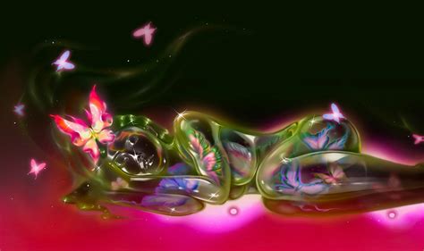 梦蝶 Dream of the Butterfly on Behance